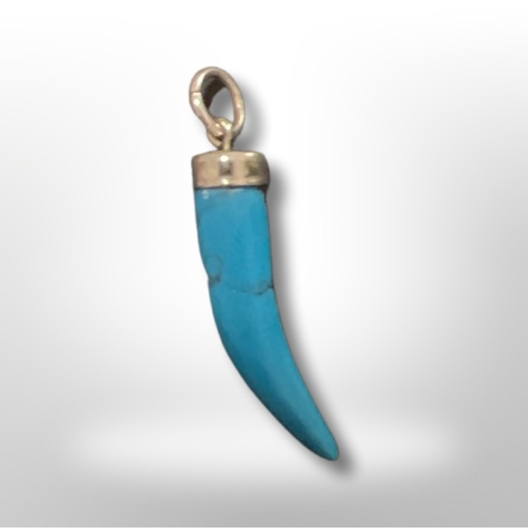 Jewelry | Italian Horn Cornicello Pendant | Poshmark